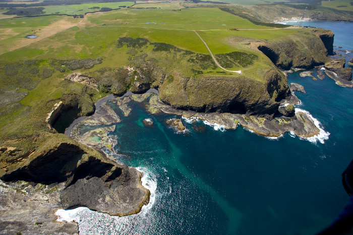 NOFF Short Films :: NOFF