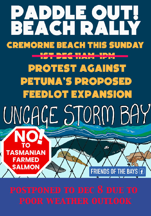 UnCage Storm Bay - join the action now on 8 December :: NOFF